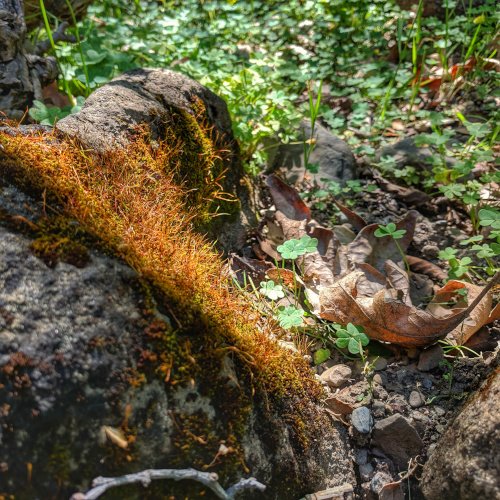 Ask Me Anything: A TealOranges SMAU - Chapter 2 - tragicallynerdy ...